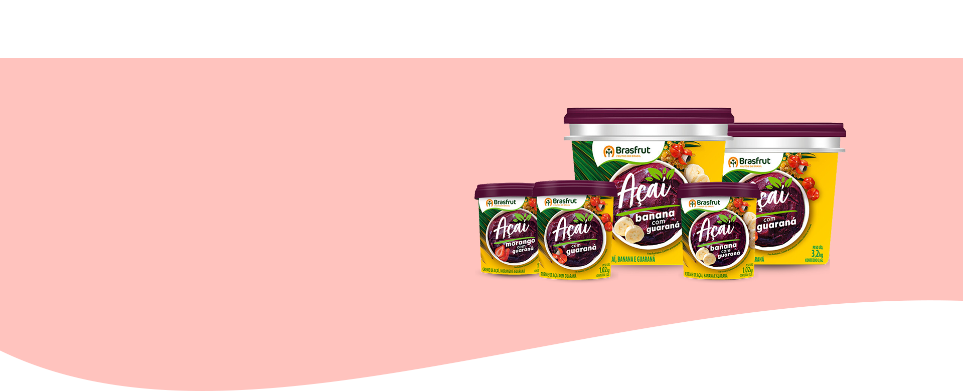 Brasfrut - Frutos do Brasil