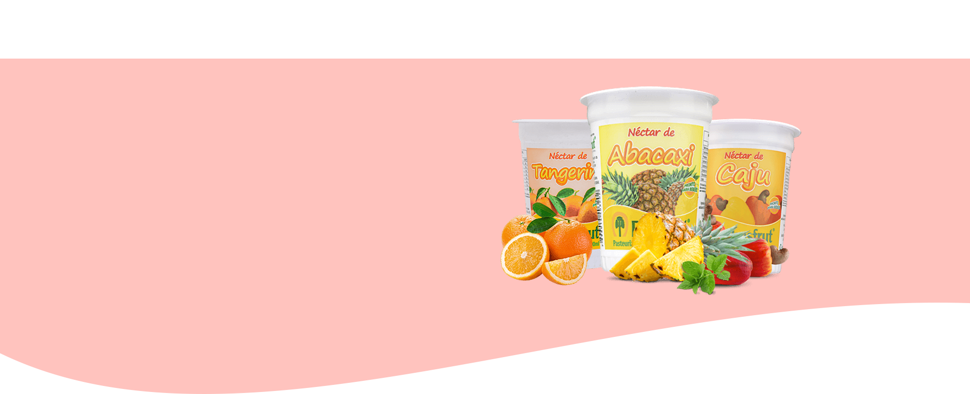 Brasfrut - Frutos do Brasil