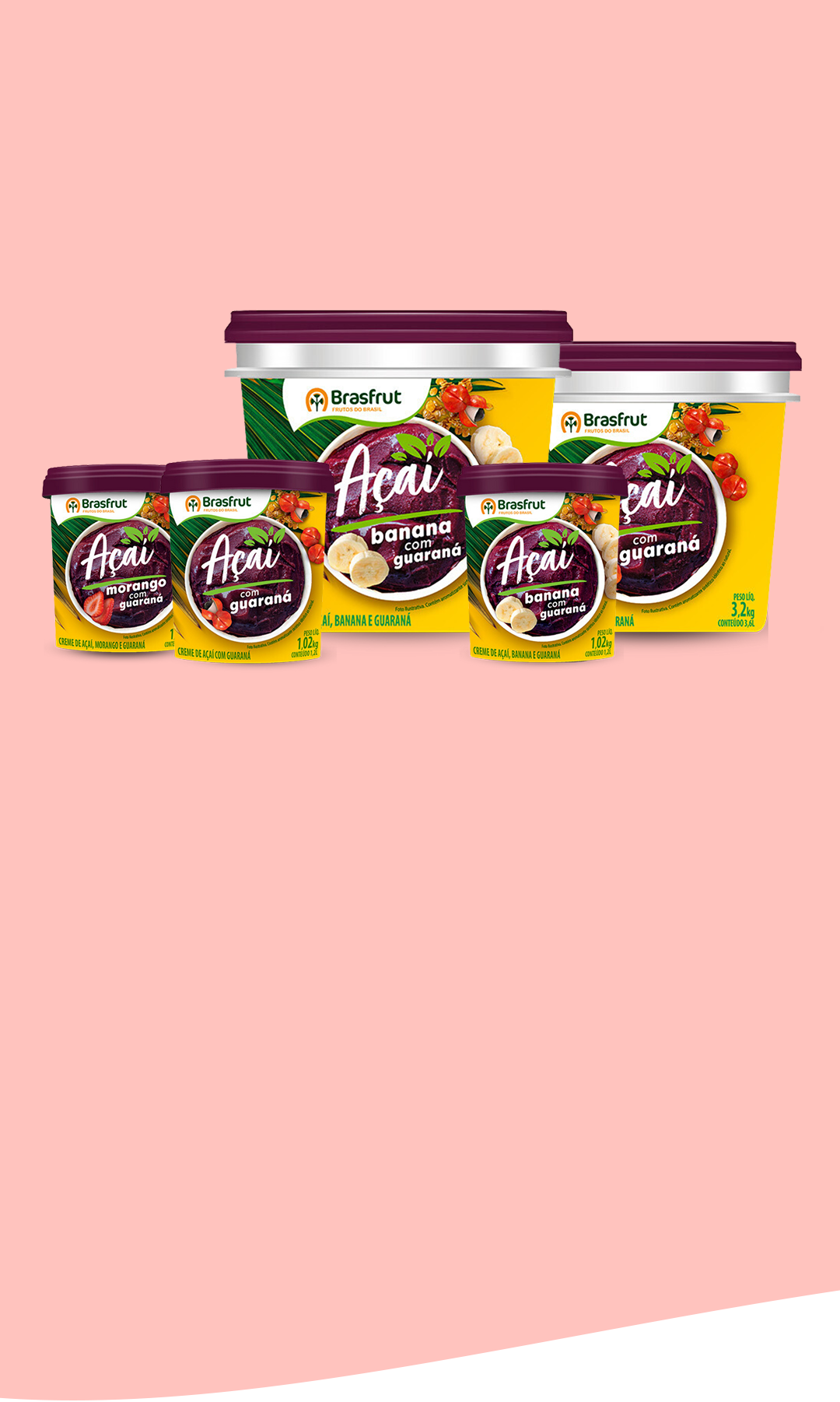 Brasfrut - Frutos do Brasil