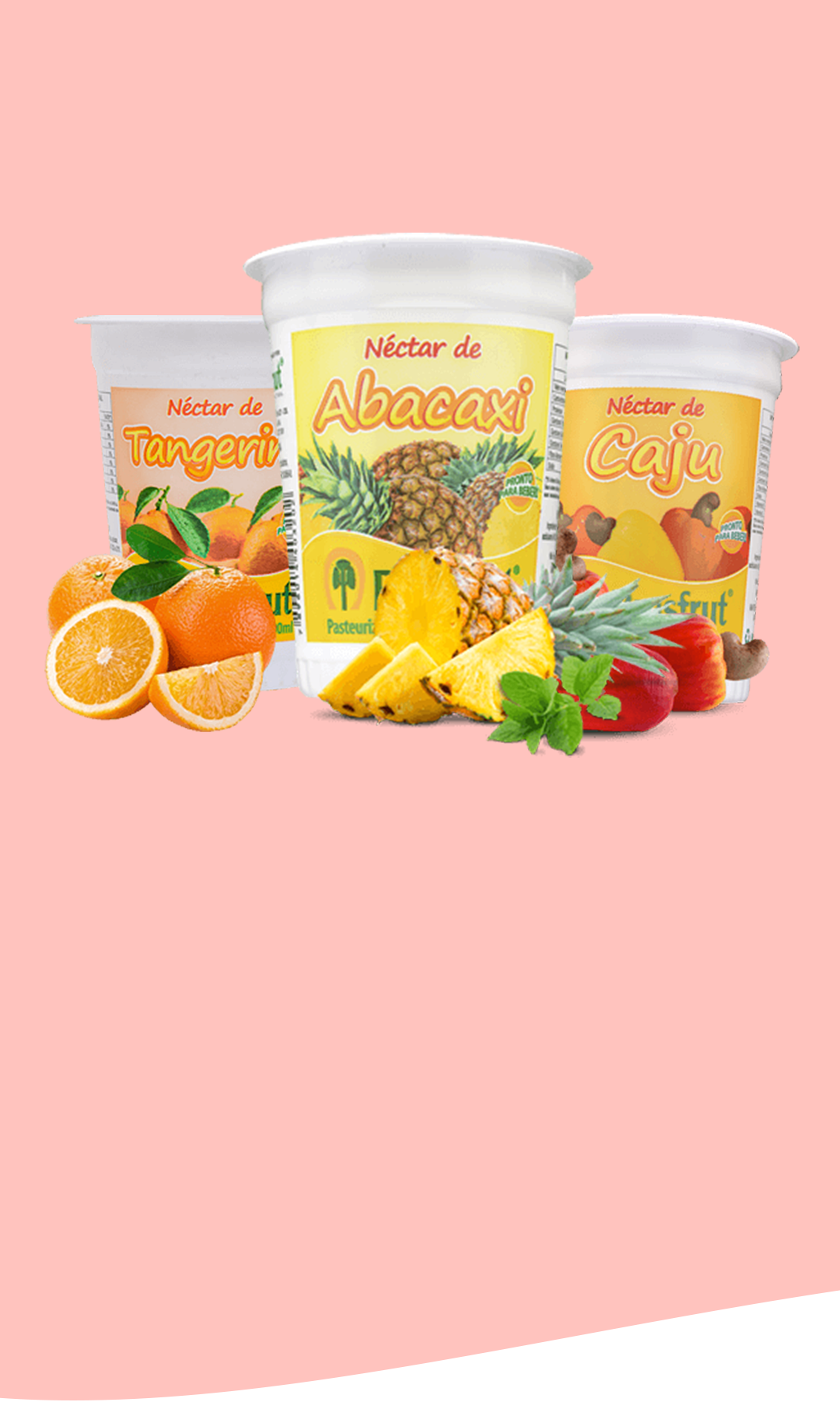 Brasfrut - Frutos do Brasil